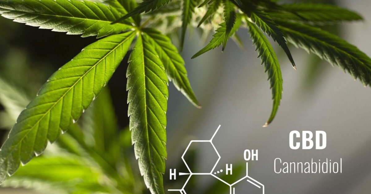 Mexico's CBD Industry Is Projected To Be Worth $675 Million By 2027